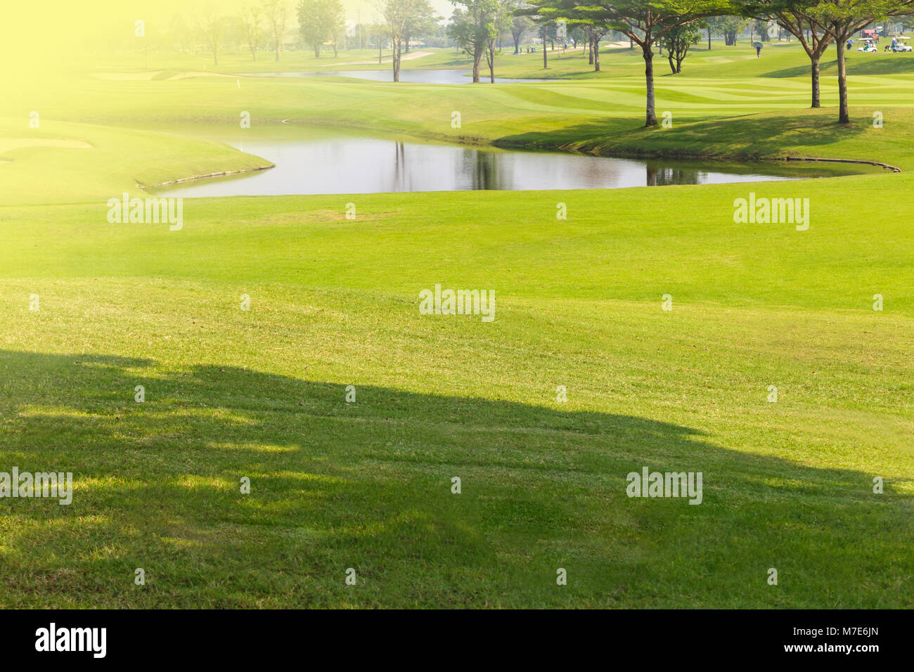 Beautiful golf course summer landscape Stock Photo - Alamy