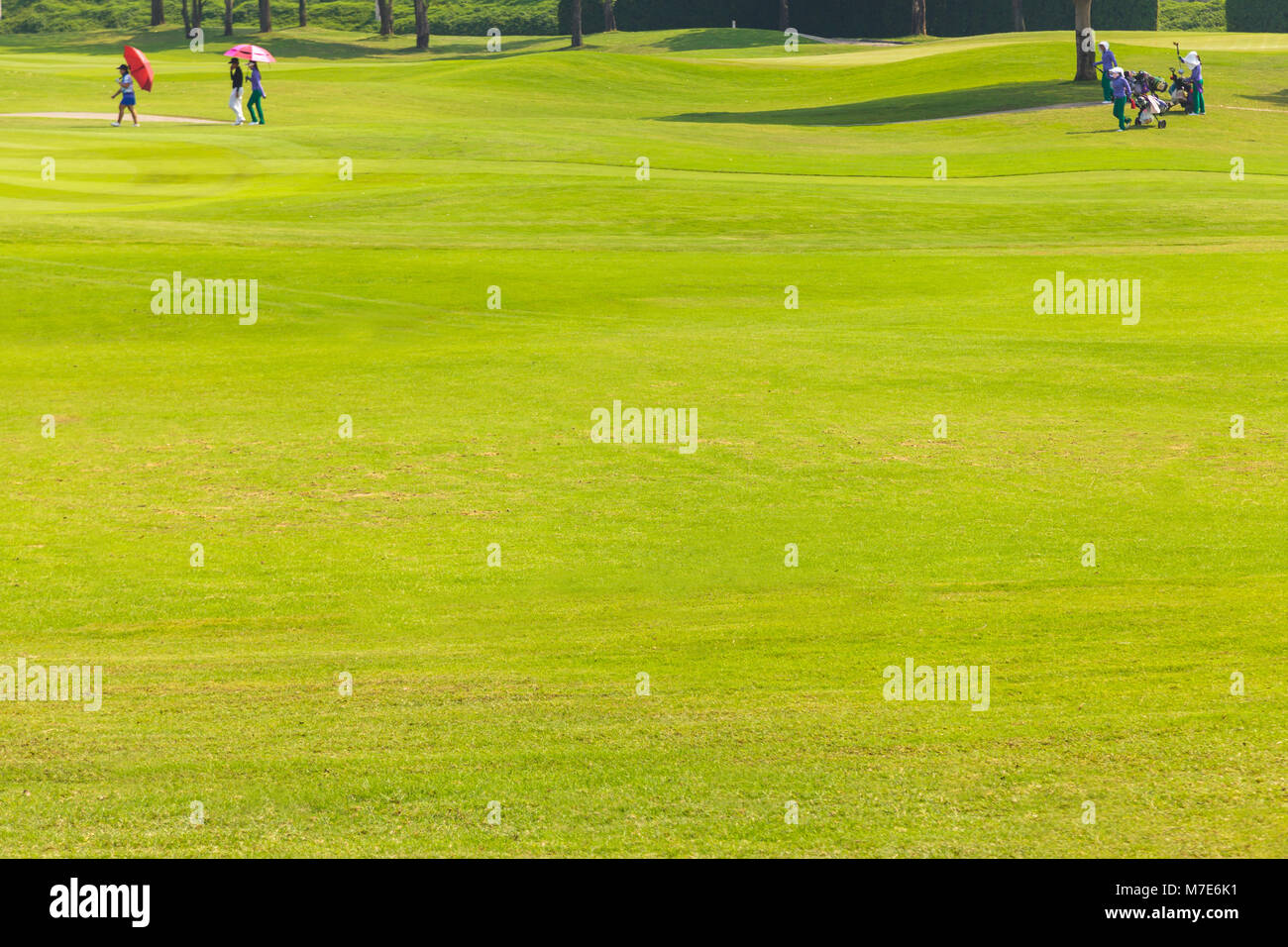 Beautiful golf course summer landscape Stock Photo - Alamy