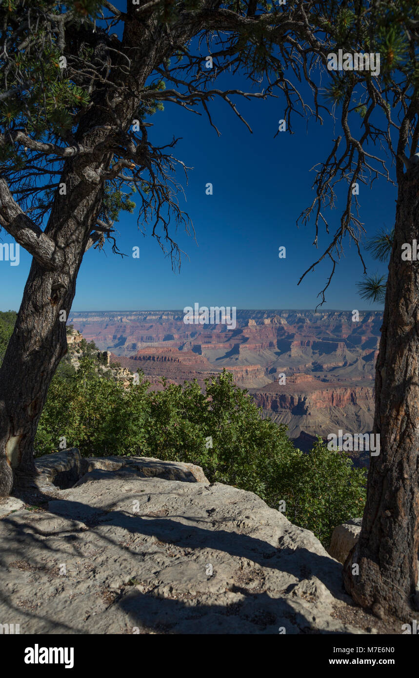 Arizona desert view hi-res stock photography and images - Alamy