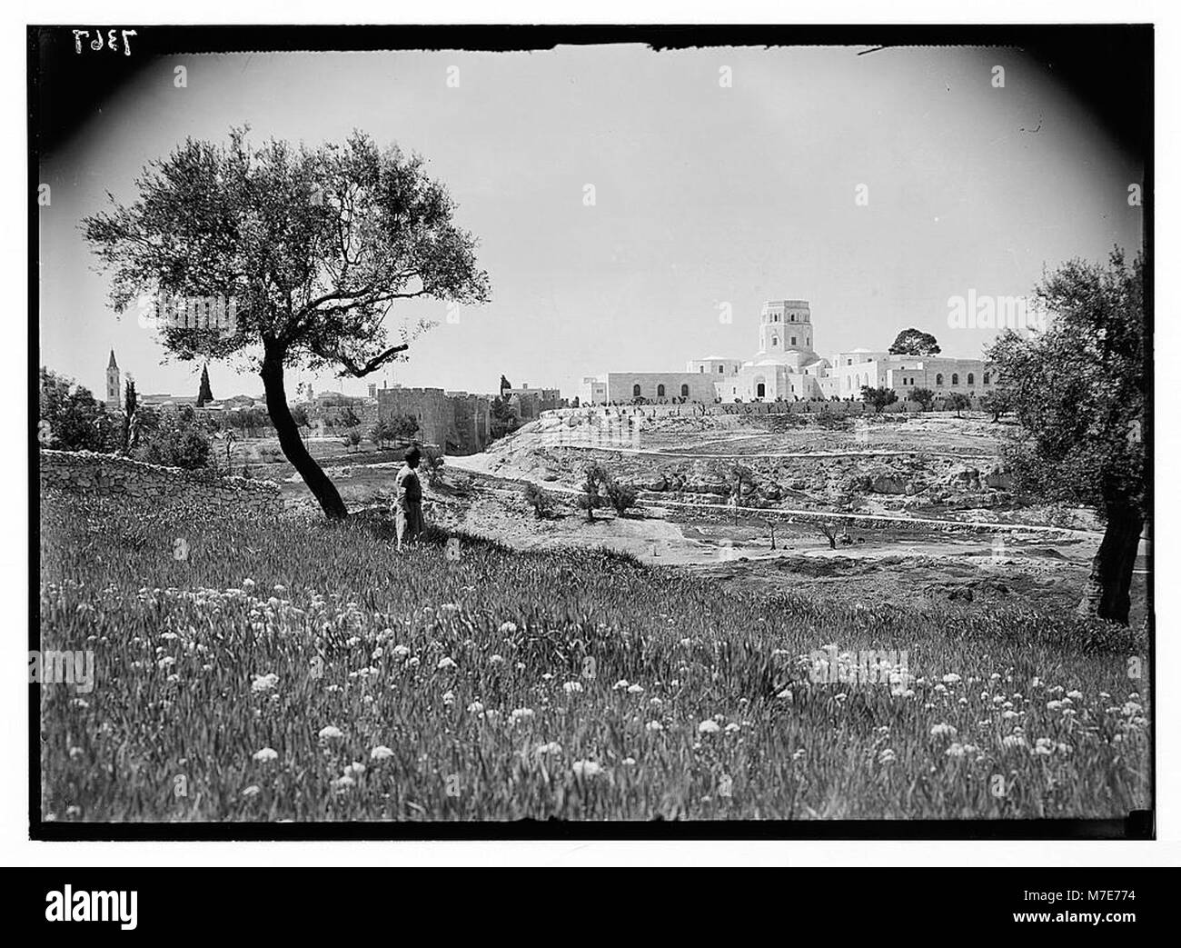 The Rockefeller Museum in Jerusalem is a significant institution ...