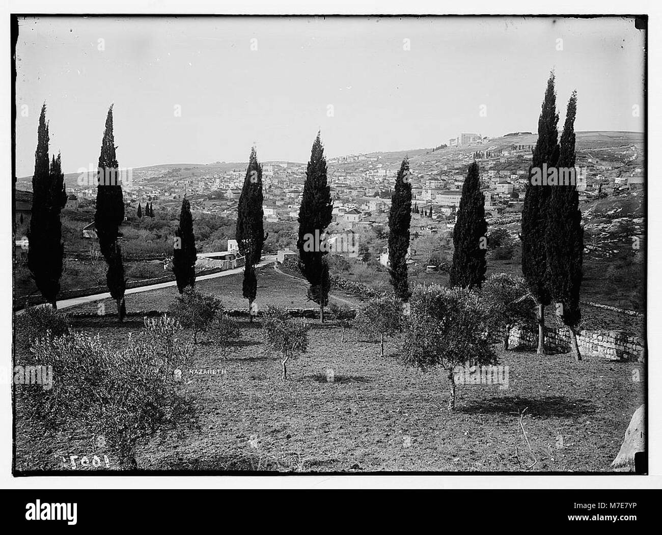 A scenic view from Nazareth, captured through a grove of cypress trees ...
