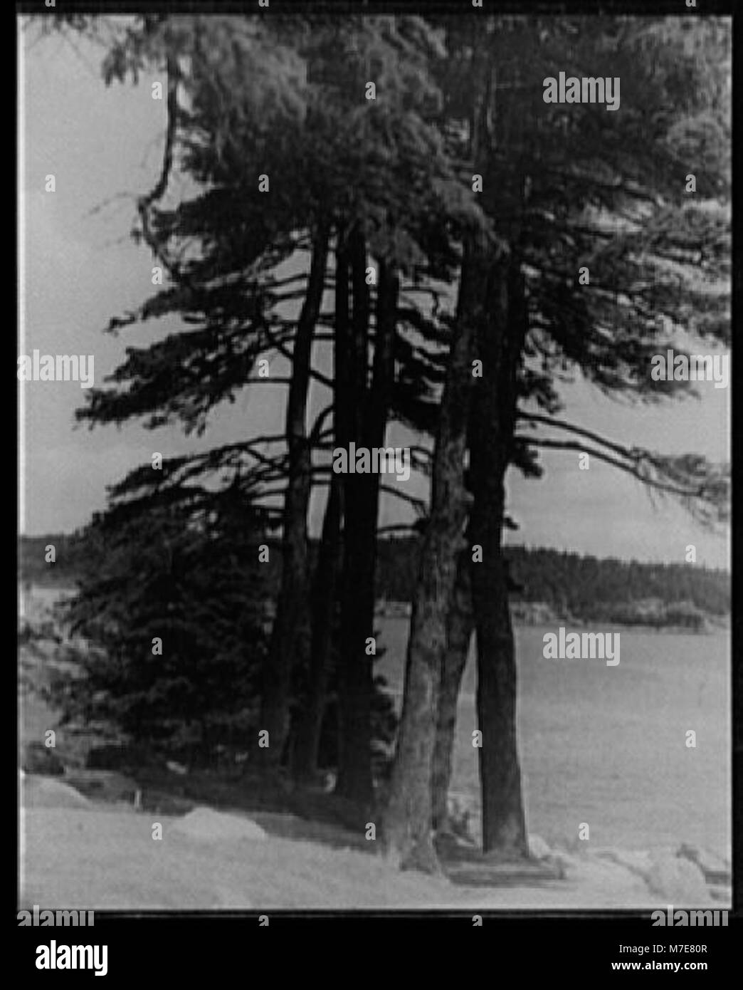 Treasure desert Black and White Stock Photos & Images - Alamy