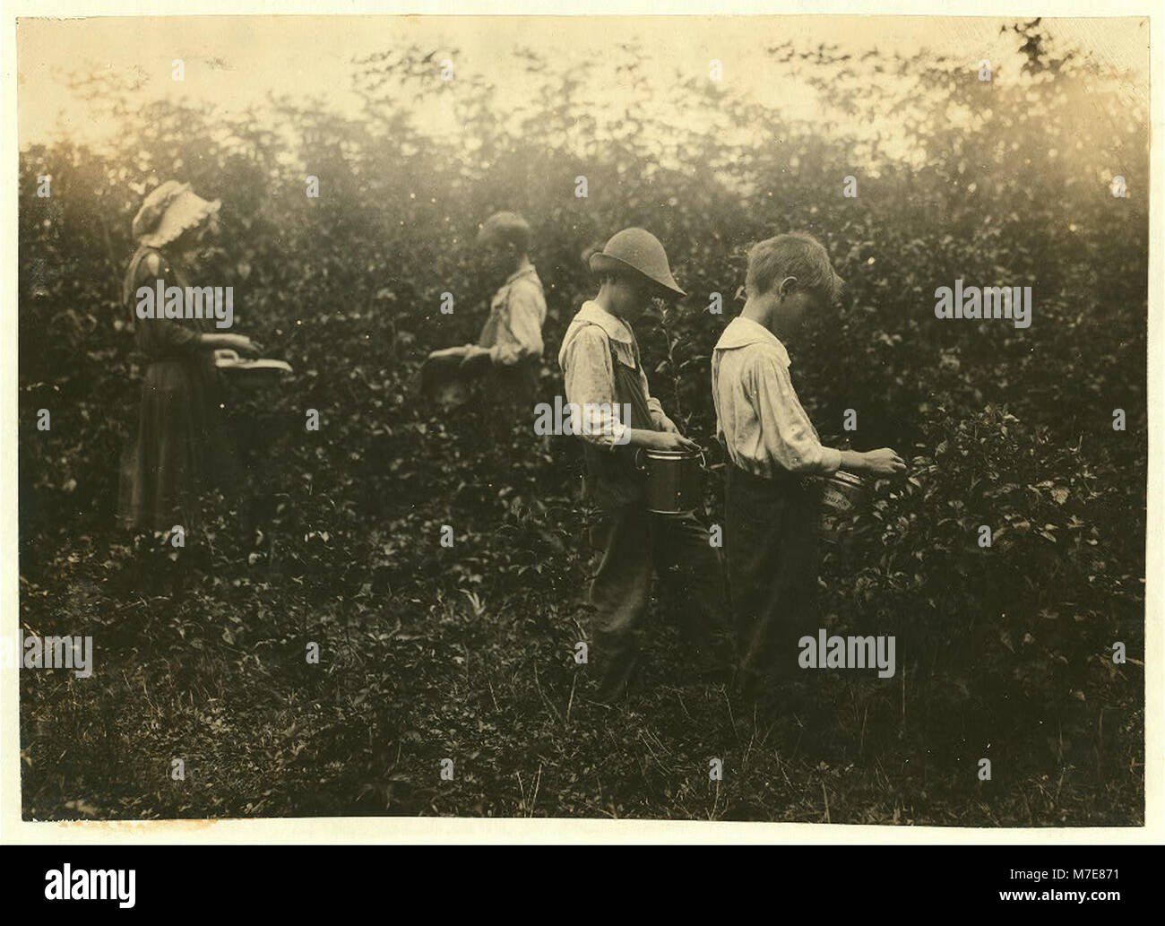 A photo of the Newkirk children picking blackberries. Father Hildred ...