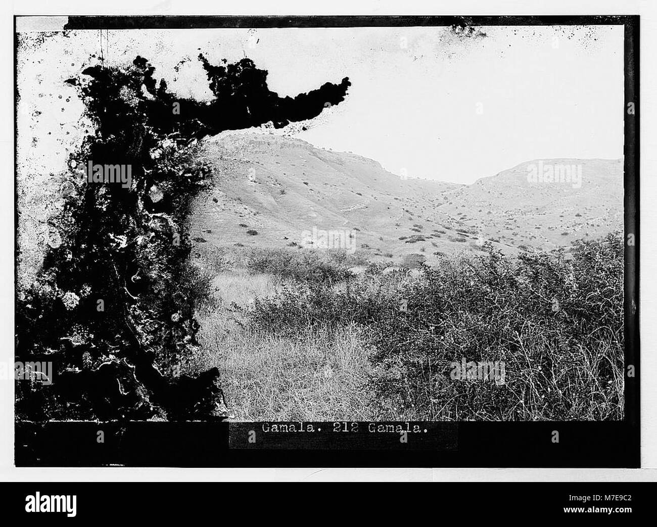 Gamala Black and White Stock Photos & Images - Alamy