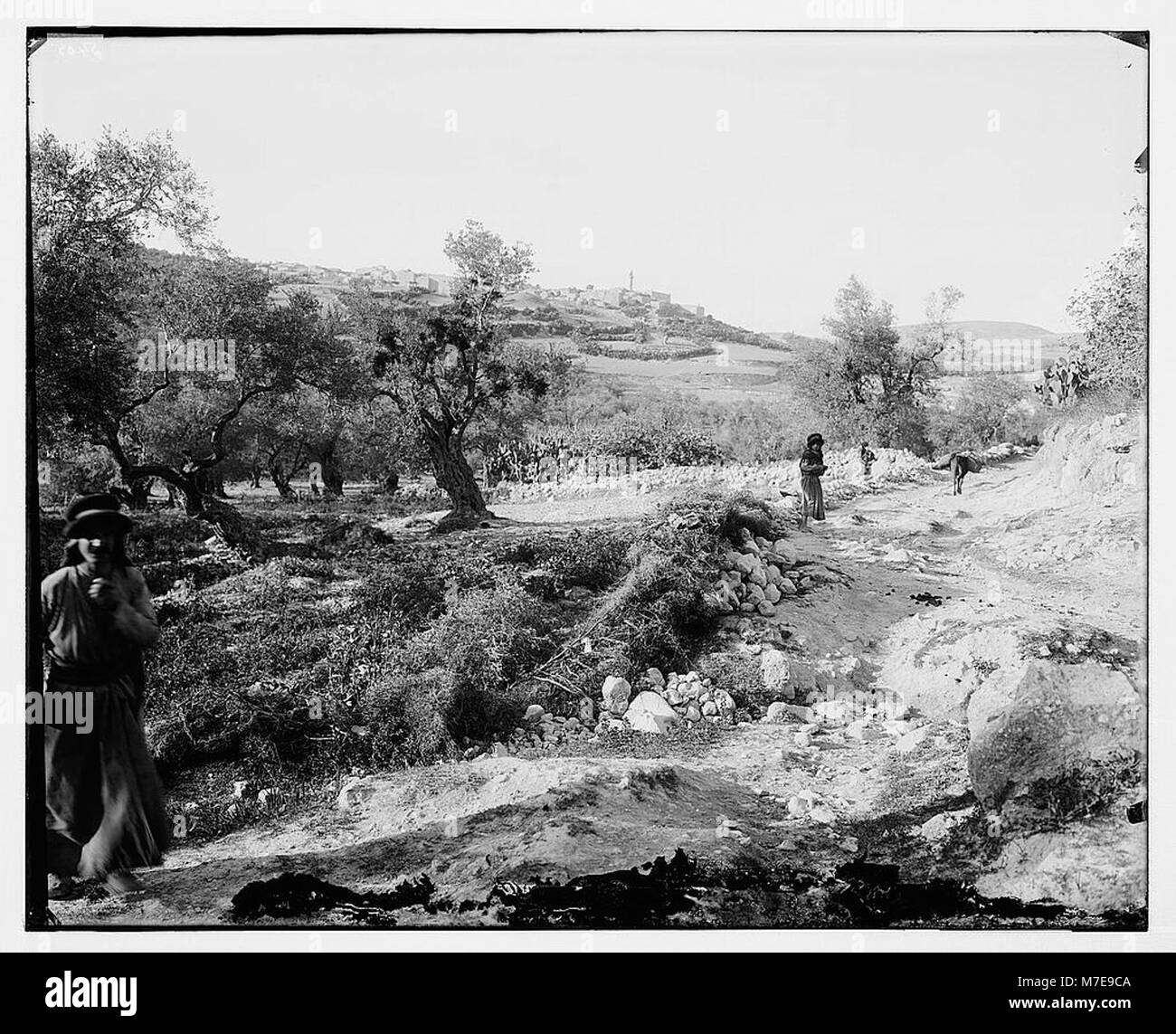 Ancient samaria hi-res stock photography and images - Alamy