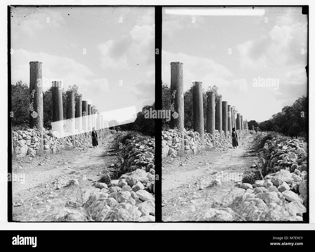 A scenic view of the grand colonnade in Samaria, a historical site ...
