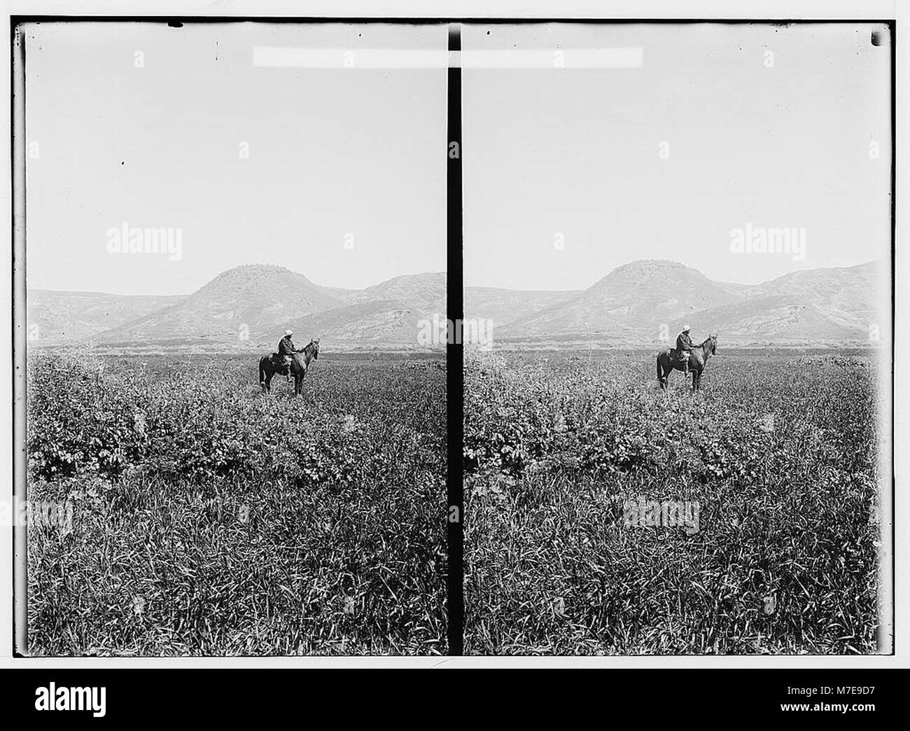 Gamala Black and White Stock Photos & Images - Alamy