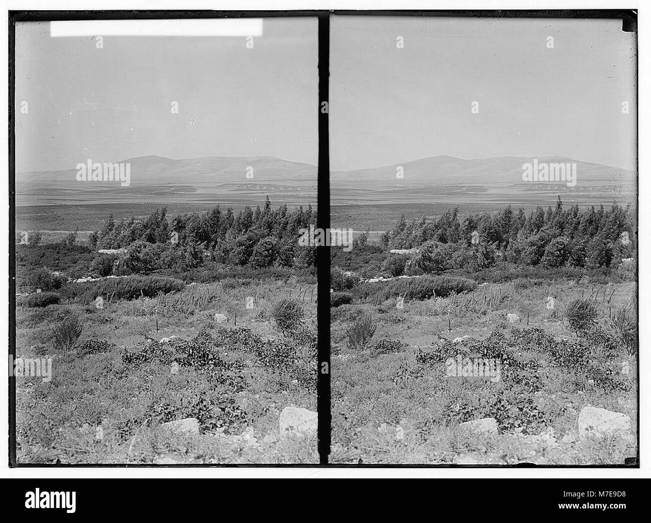 A northern view of the Hill of Moreh and the Plain of Esdraelon, two ...
