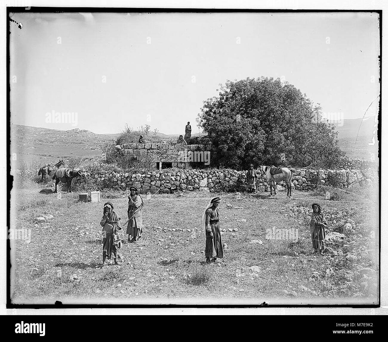 A photograph showing the ruins of Shiloh (Seilun), located in the ...