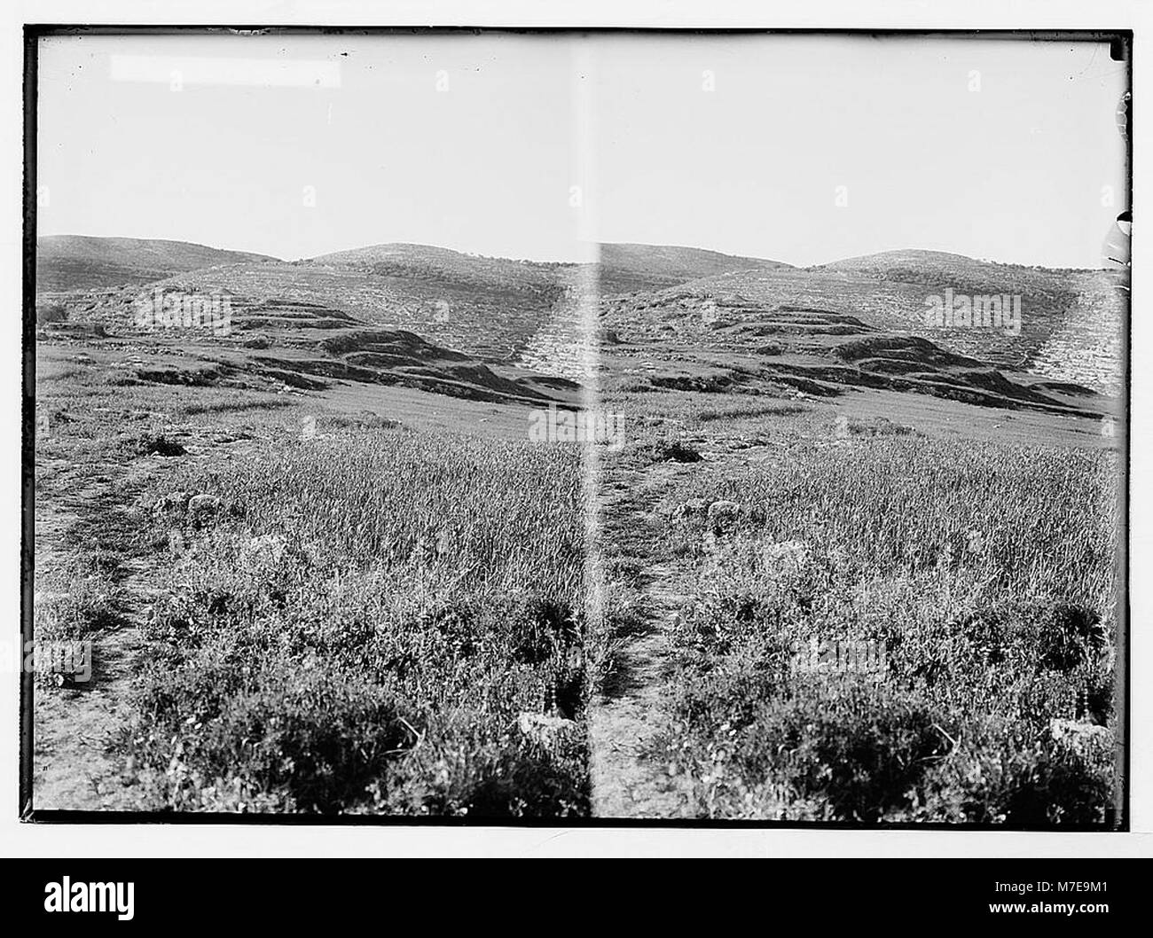 Northern views of the Shiloh battlefield, showcasing the landscape and ...