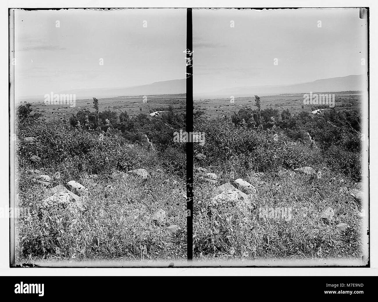 A photograph looking south from Dan, likely showing a northern ...