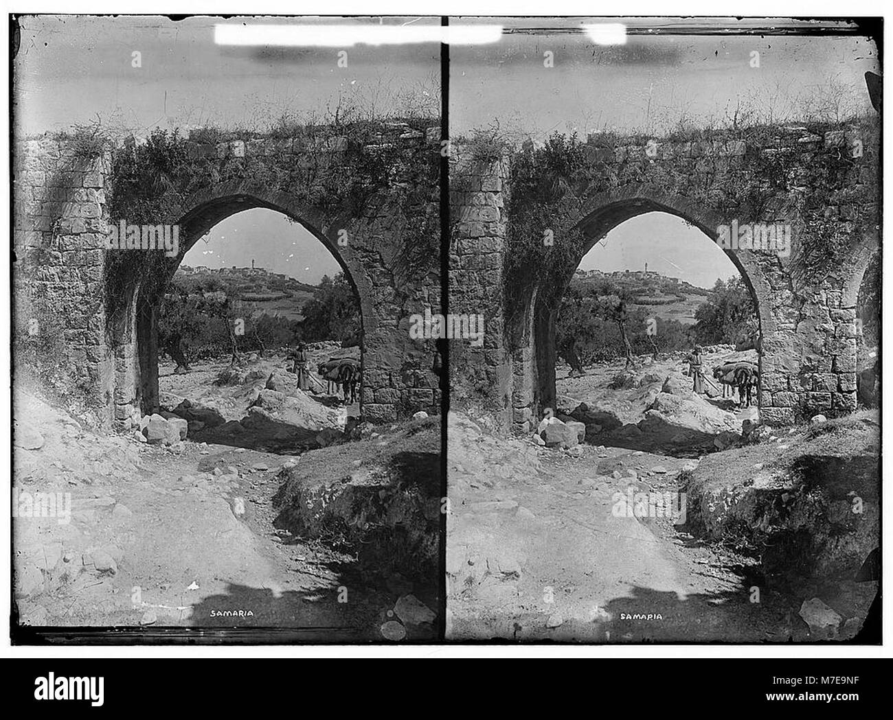 A view of Samaria from Shechem Road, showcasing the northern landscapes ...