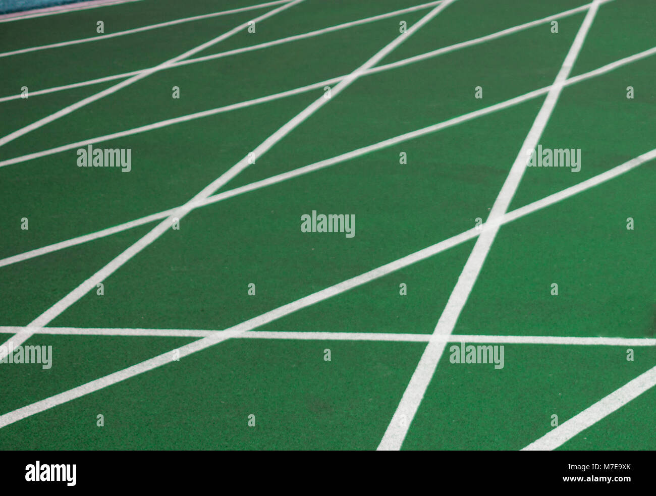 Soccer field with natural grass in a stadium,line Stock Photo - Alamy