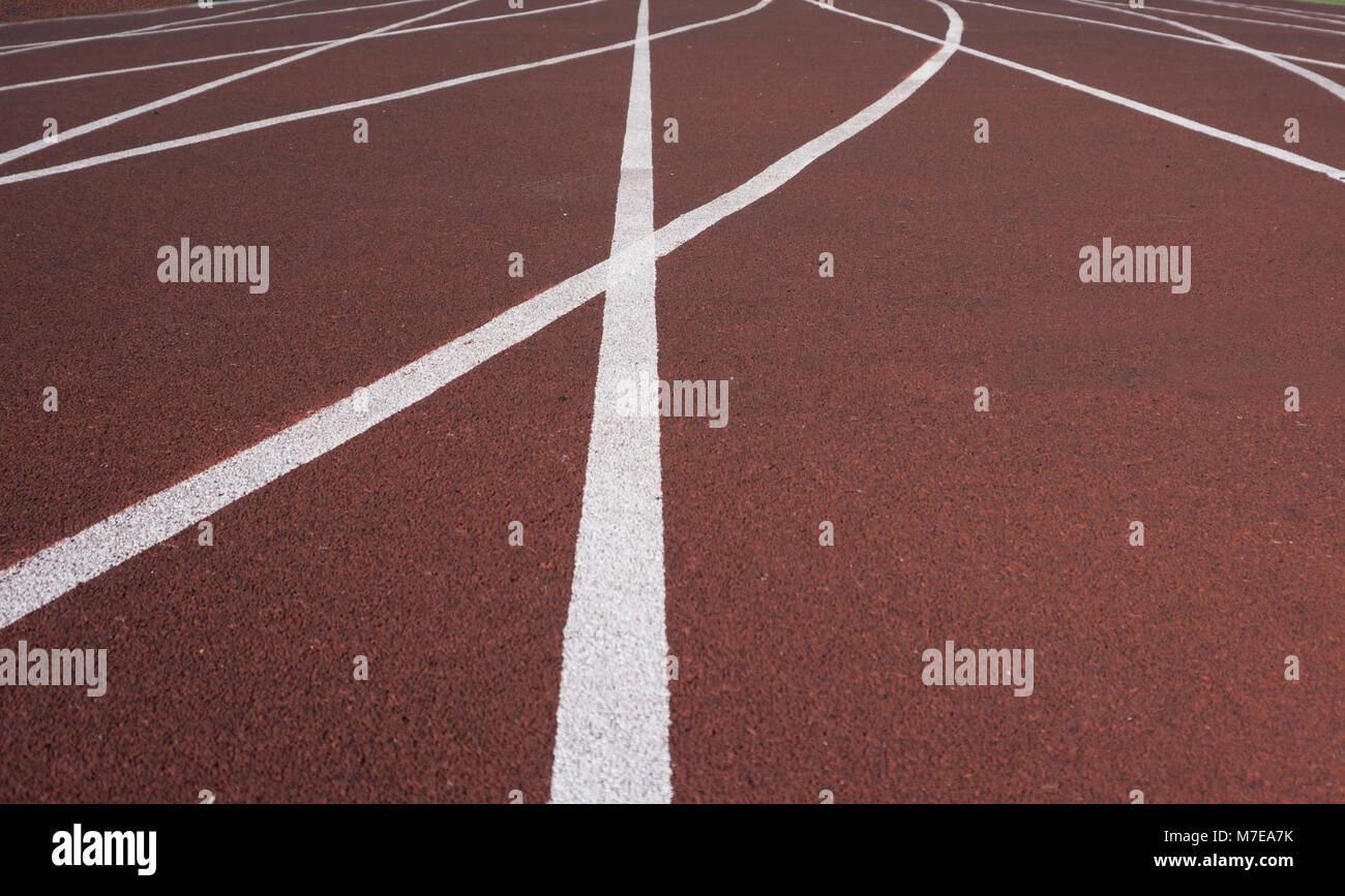 Soccer field with natural grass in a stadium,line Stock Photo - Alamy