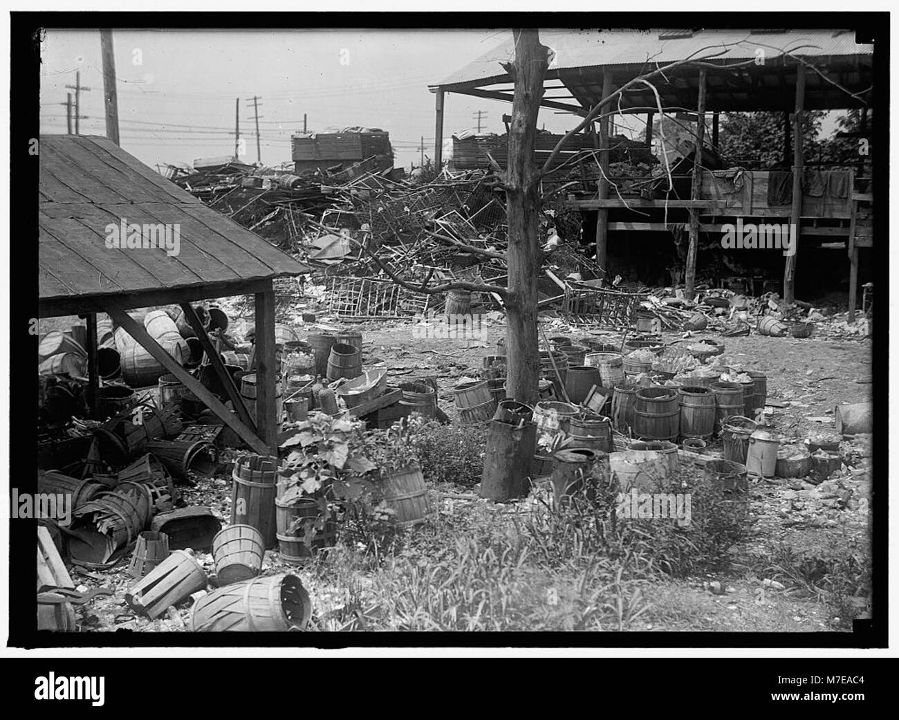 This image lacks a caption, offering a scene without contextual ...