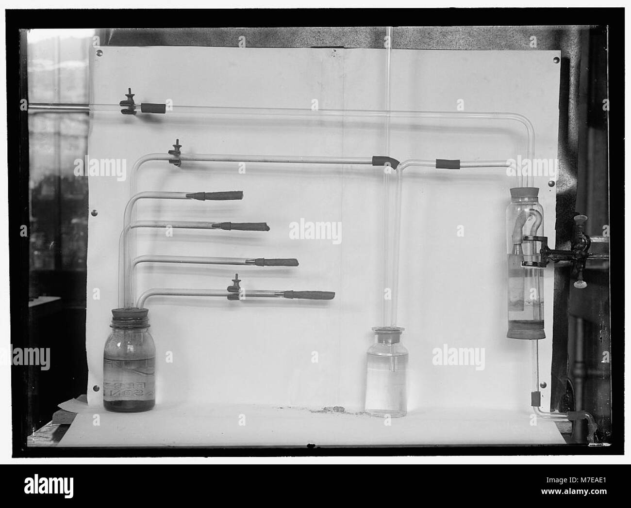 An unidentified image with no available caption, capturing an unknown ...