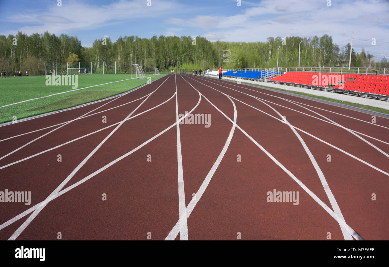 Soccer field with natural grass in a stadium,line Stock Photo - Alamy