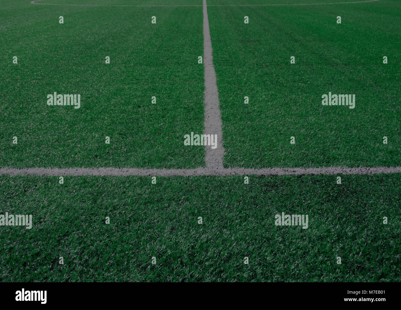 Soccer field with natural grass in a stadium,line Stock Photo - Alamy