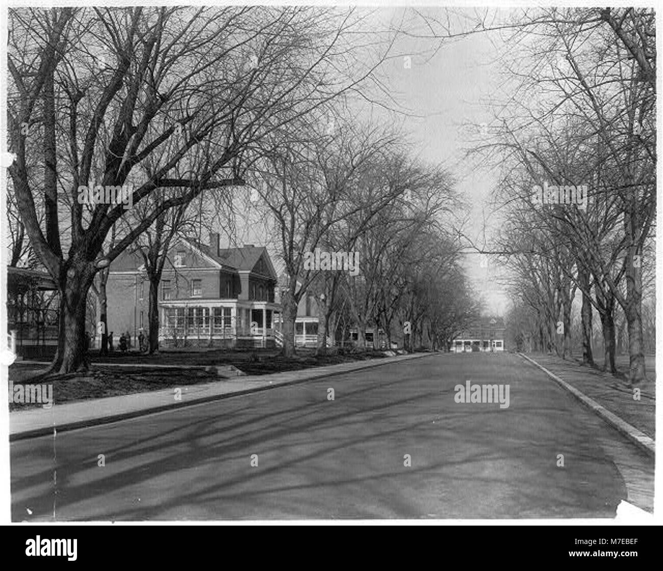 This image shows Officers Row at Fort Myer in Virginia, a historic ...