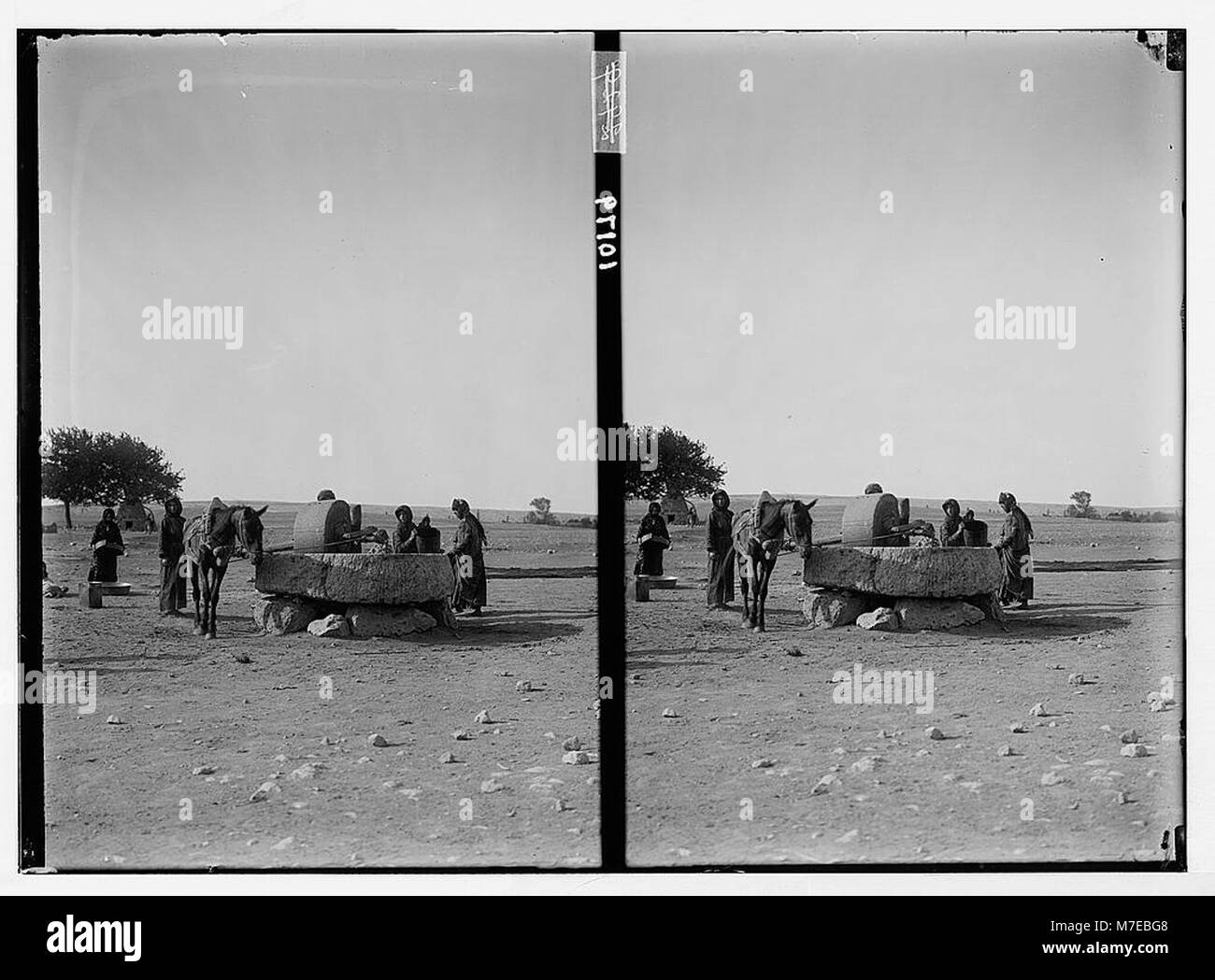 An image of a traditional oil press, capturing a historical method of ...