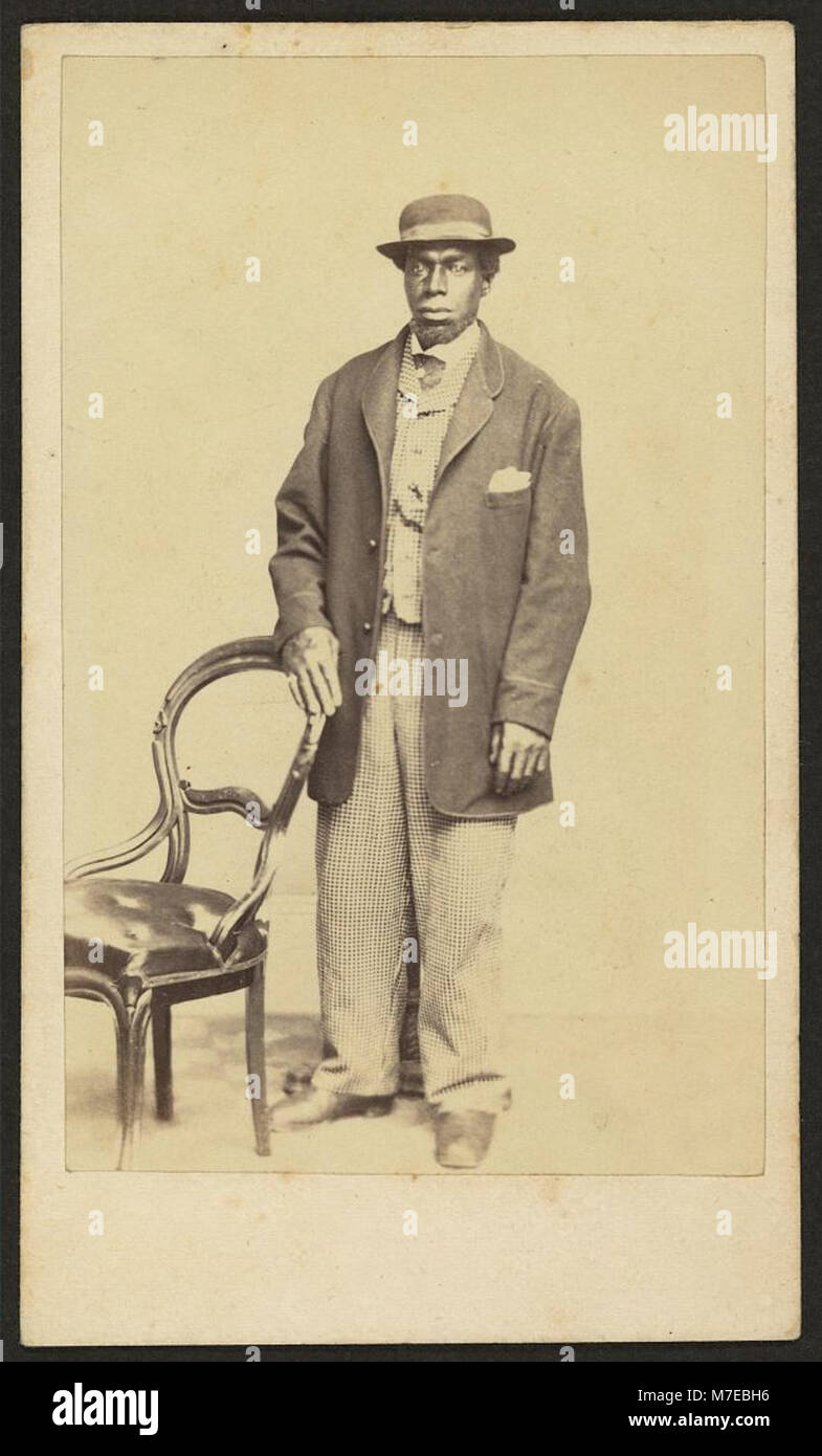 A photograph of Old Abe, the famous eagle, a symbol of American ...