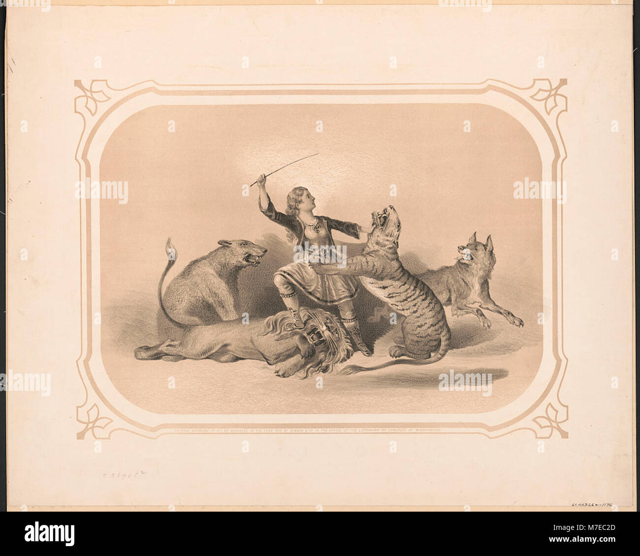 A portrait of the Lion Queen, an artistic depiction of a powerful and ...