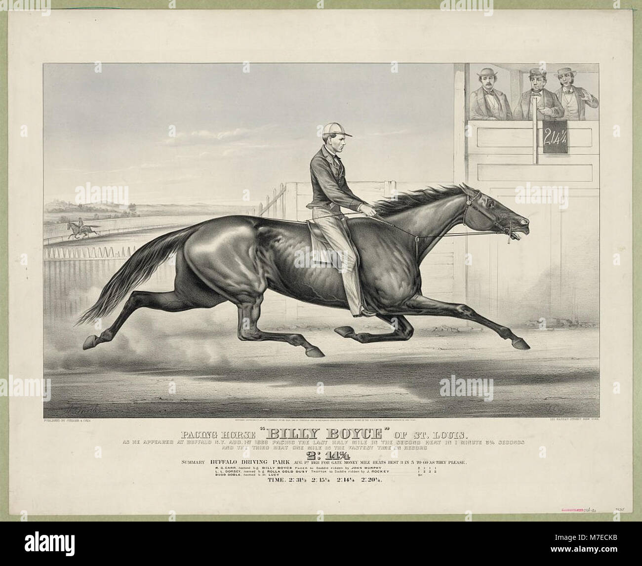 A historic photograph of pacing horse 'Billy Boyce' from St. Louis ...