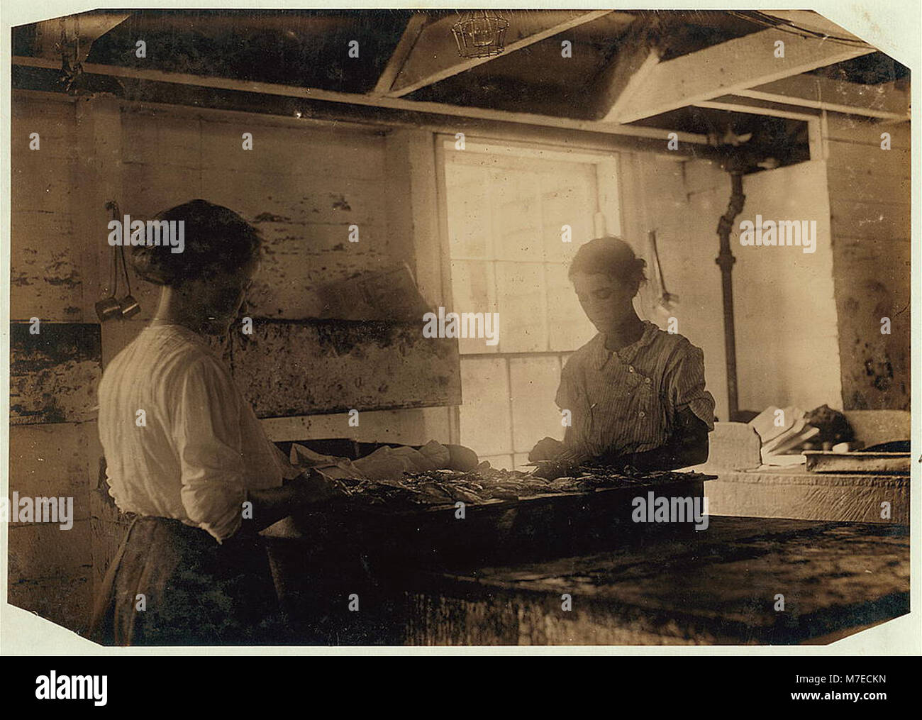 American sardine company factory hi-res stock photography and images ...