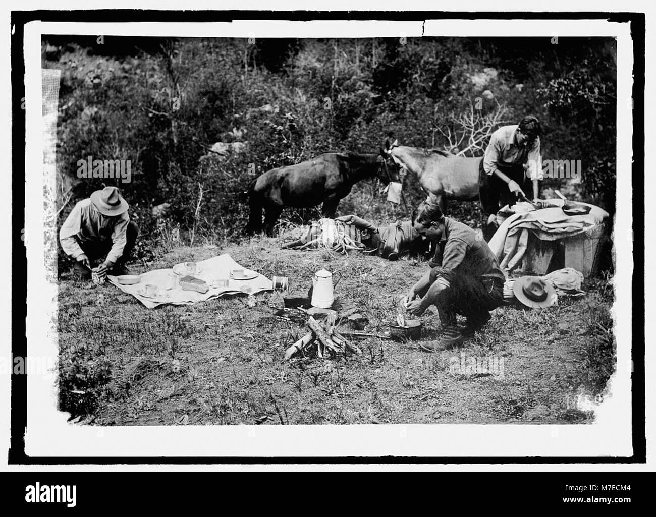 This image shows a pack outfit in Pike National Forest, Colorado ...