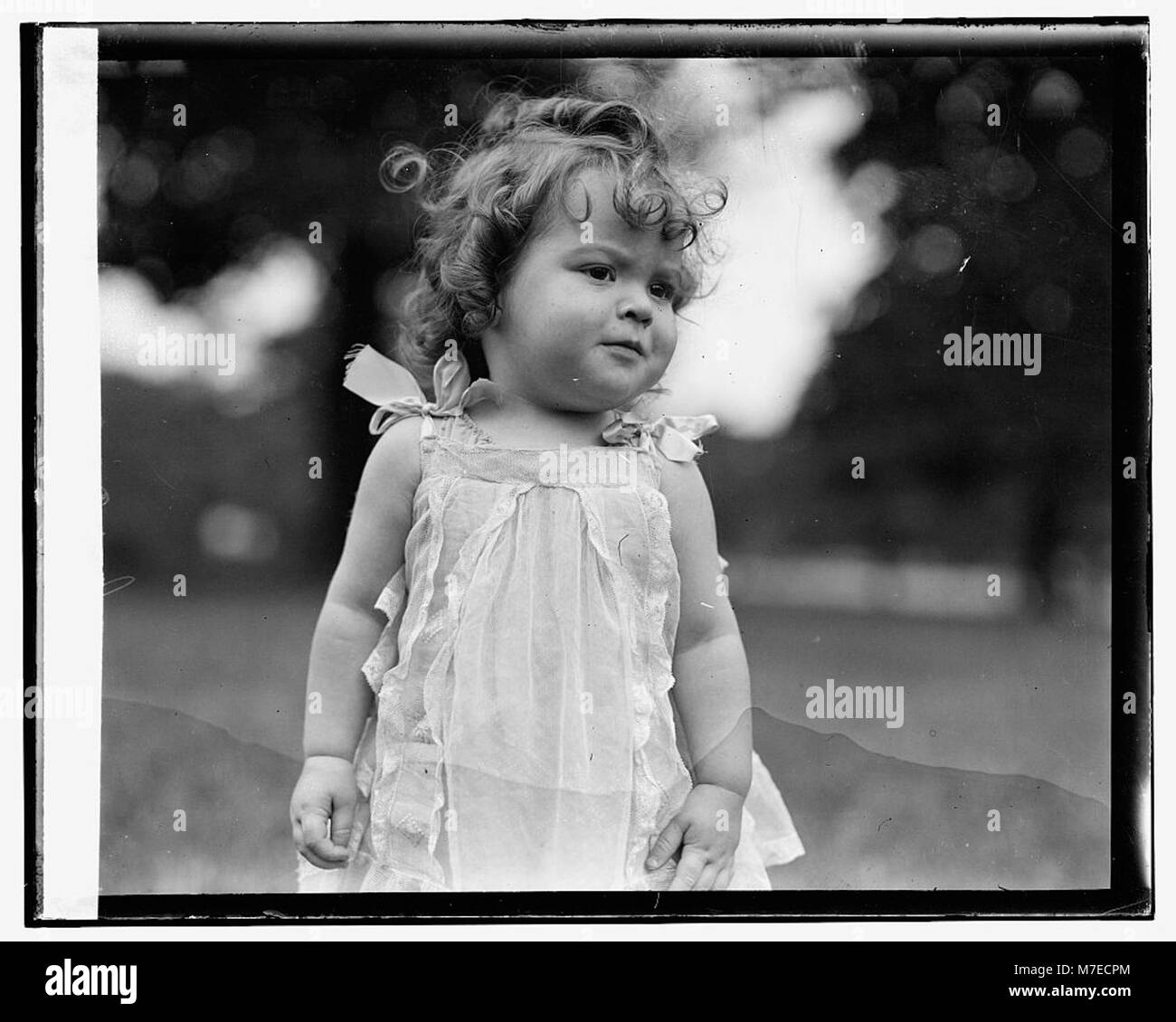 Royal Shepherd High Resolution Stock Photography and Images - Alamy