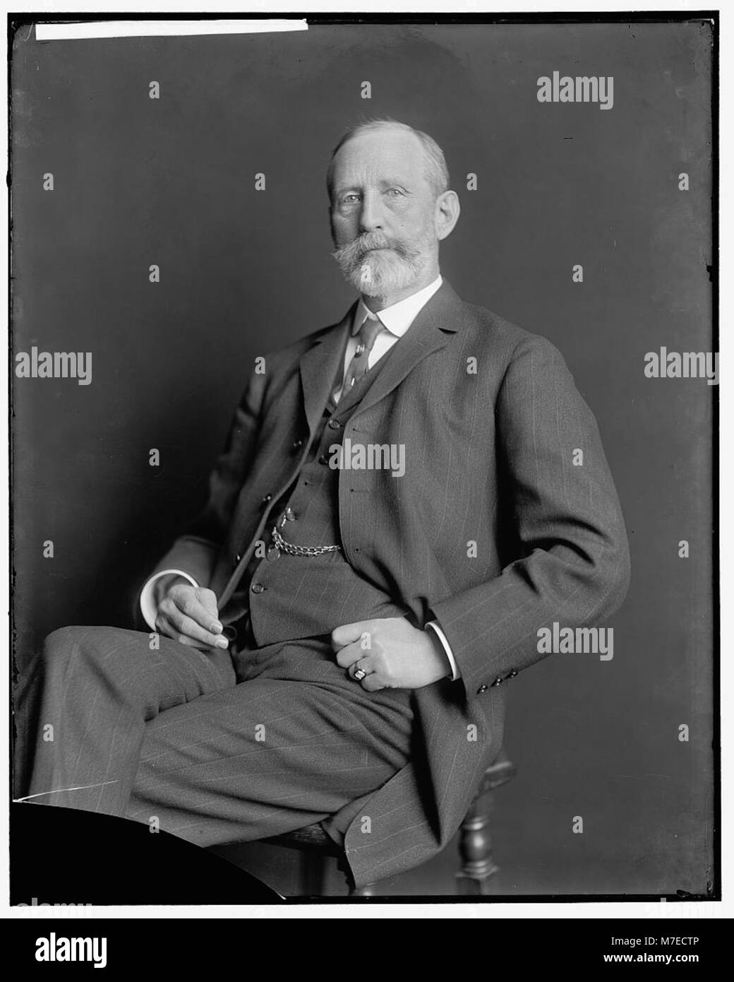 A formal portrait of Henry W. Palmer, an honorable figure likely ...
