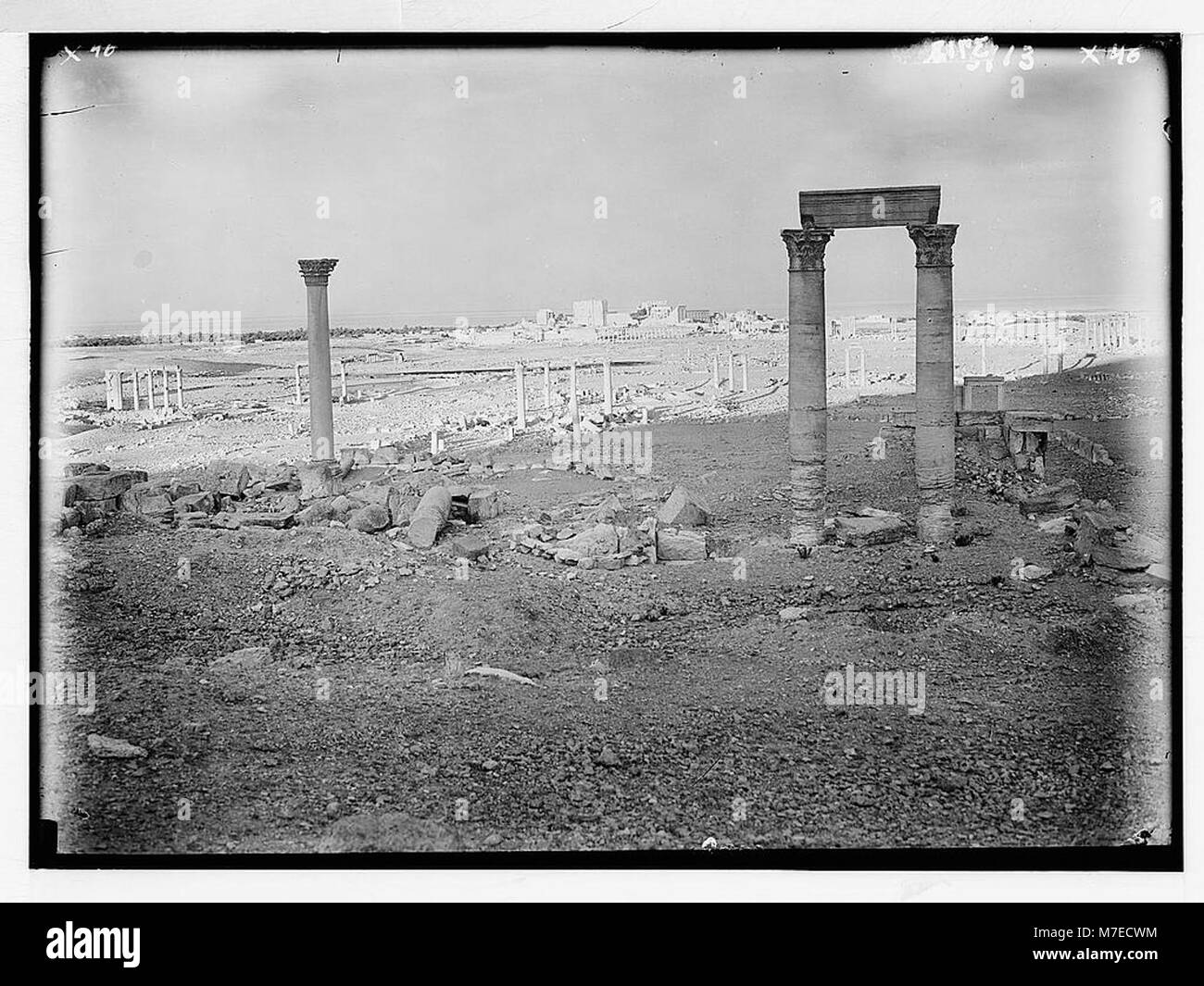 A distant view of the ancient city of Palmyra, captured from the ...