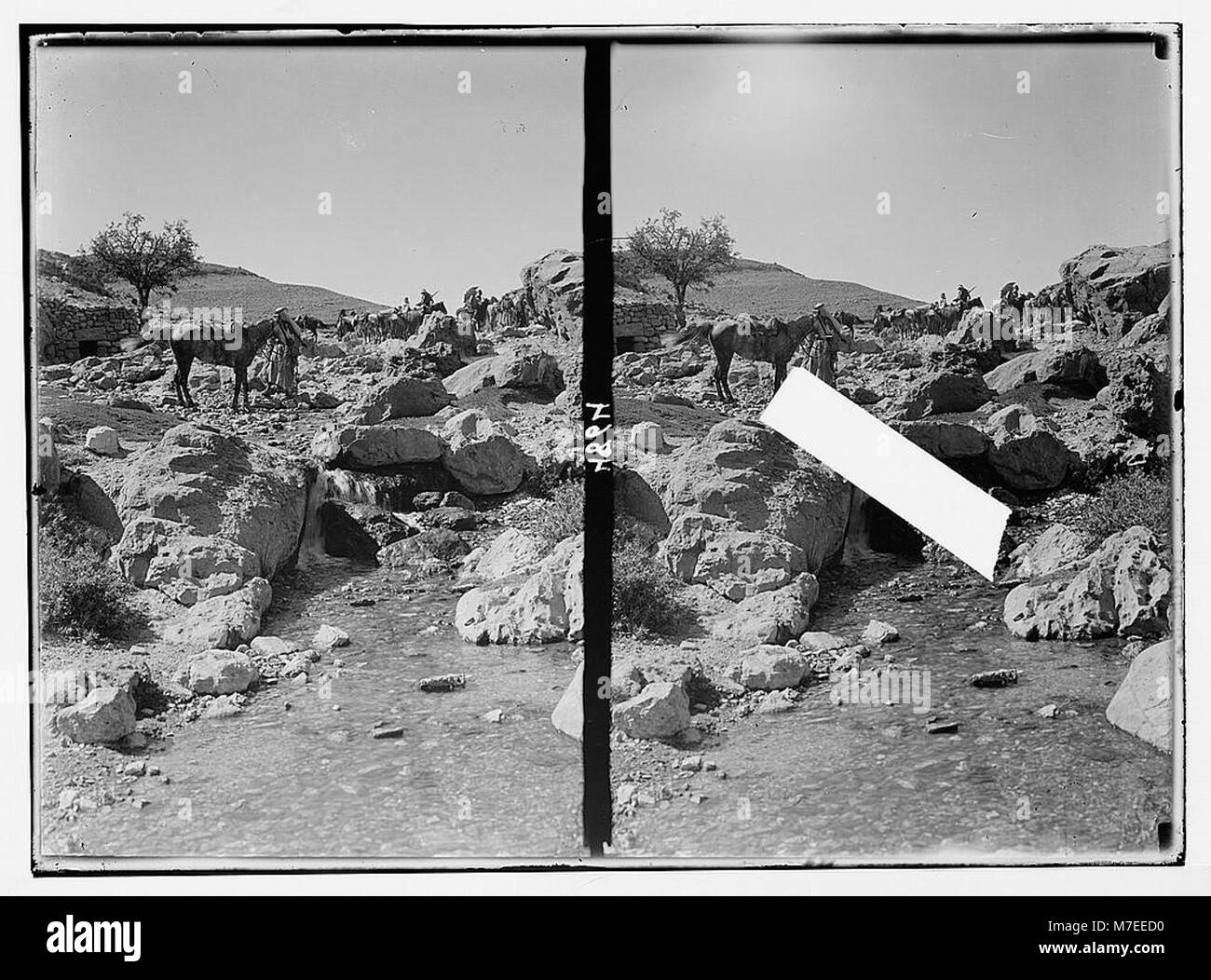 The Spring of Moses (Ain Mus) is located near Eldji, along the road ...