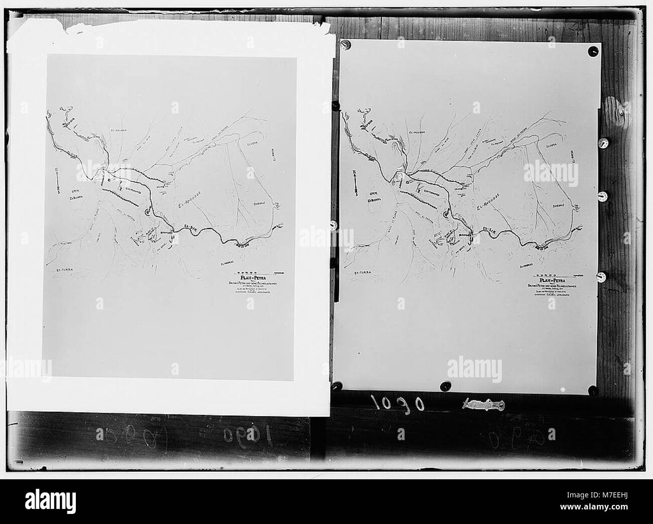A plan of Petra in Transjordan, providing a detailed layout of this ...