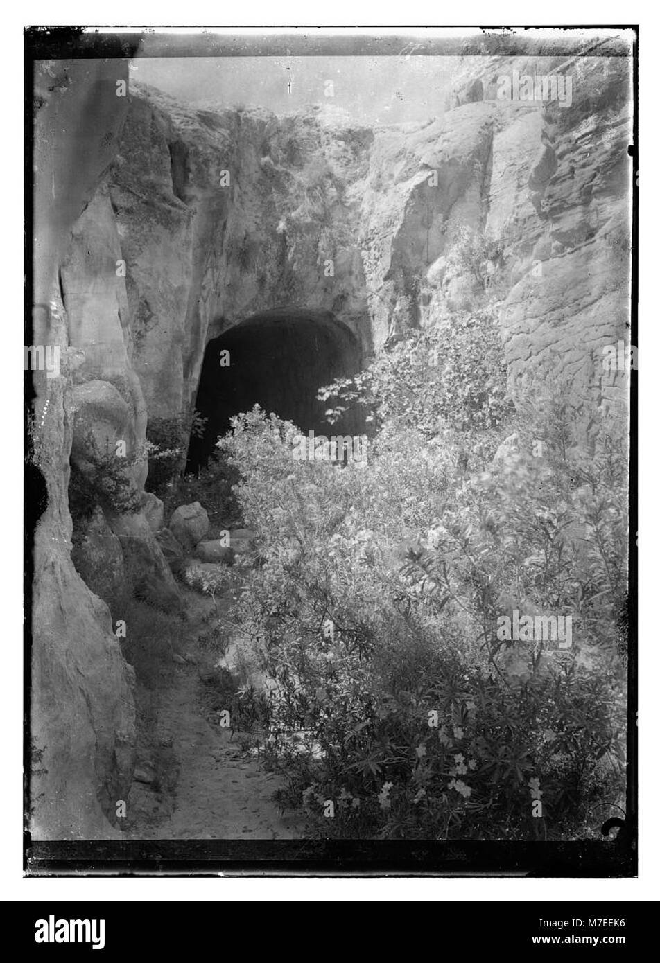 Middle east monument and heritage site the unesco world heritage Cut ...