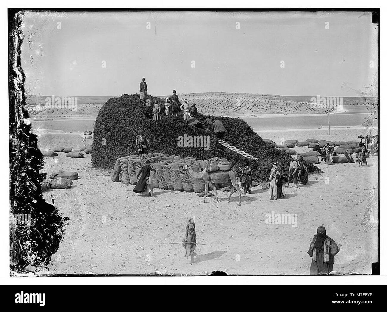 Market in syria Black and White Stock Photos & Images - Alamy
