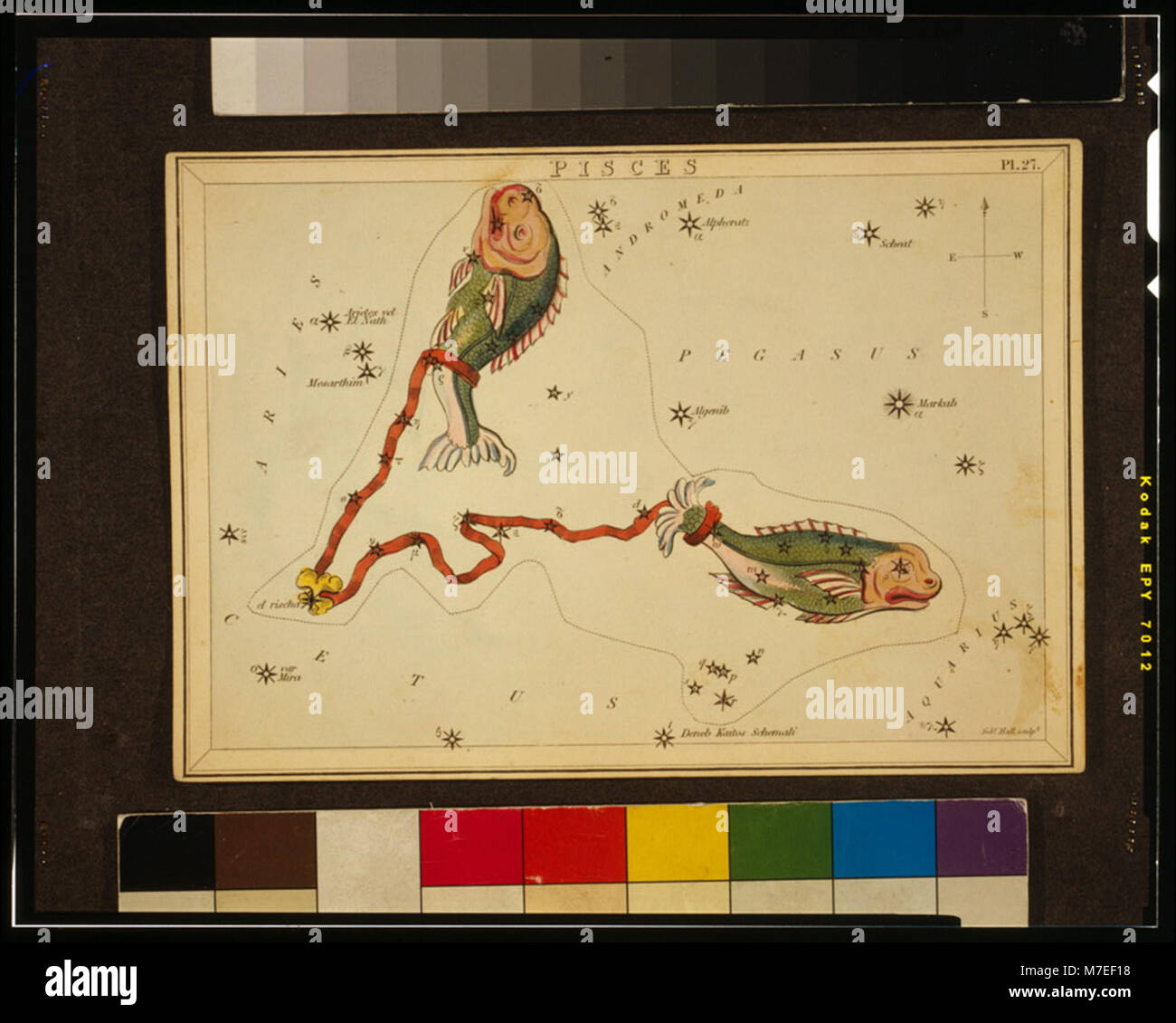 The sculpture 'Pisces' by Sidy Hall captures the flowing and graceful ...