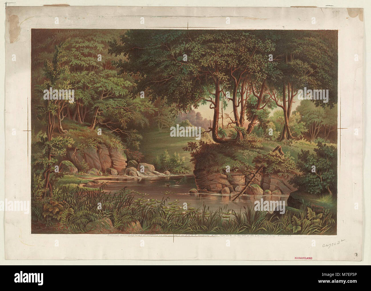 Habitat rivers and wetlands hi-res stock photography and images - Alamy