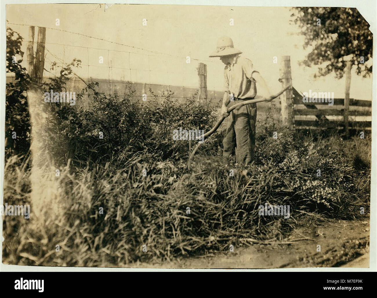 This image depicts a family scene of rural life, with boys working in ...