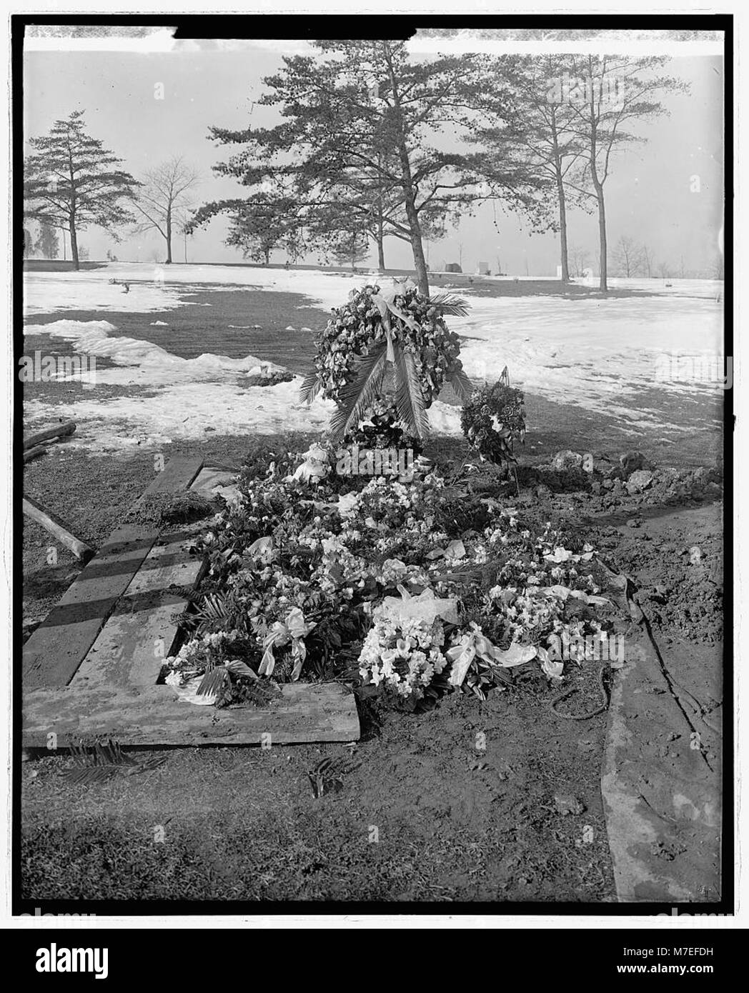 An image of Lincoln Cemetery, a significant historical site, capturing ...