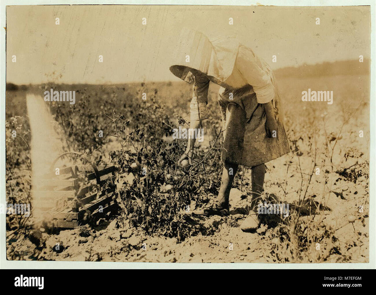 20th century farm work hi-res stock photography and images - Alamy