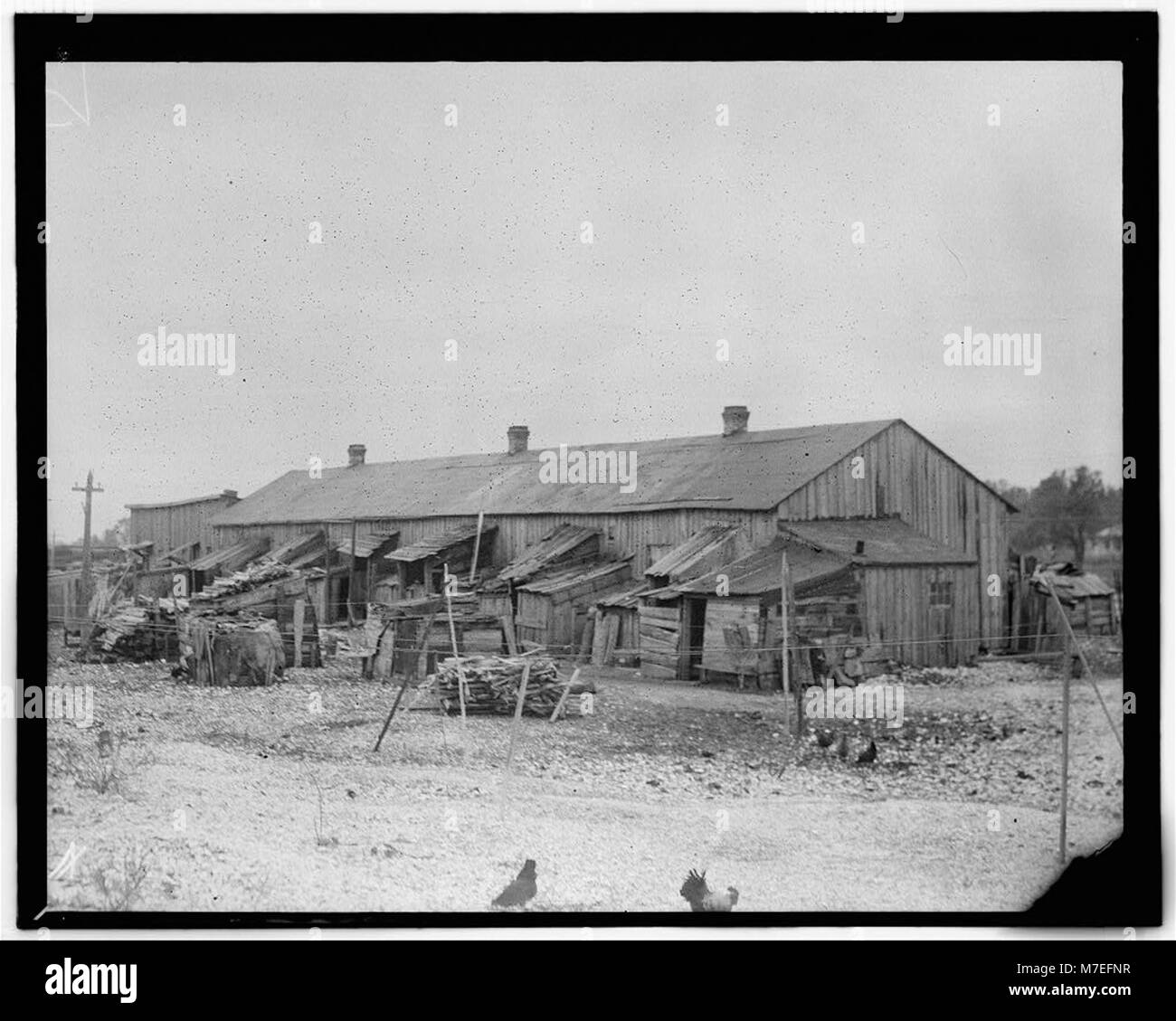The photograph depicts a group of 50 individuals living in dilapidated ...
