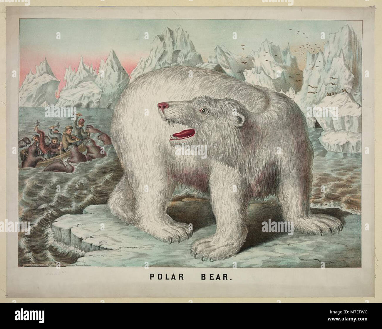 A photograph of a polar bear, showcasing its natural habitat in the ...
