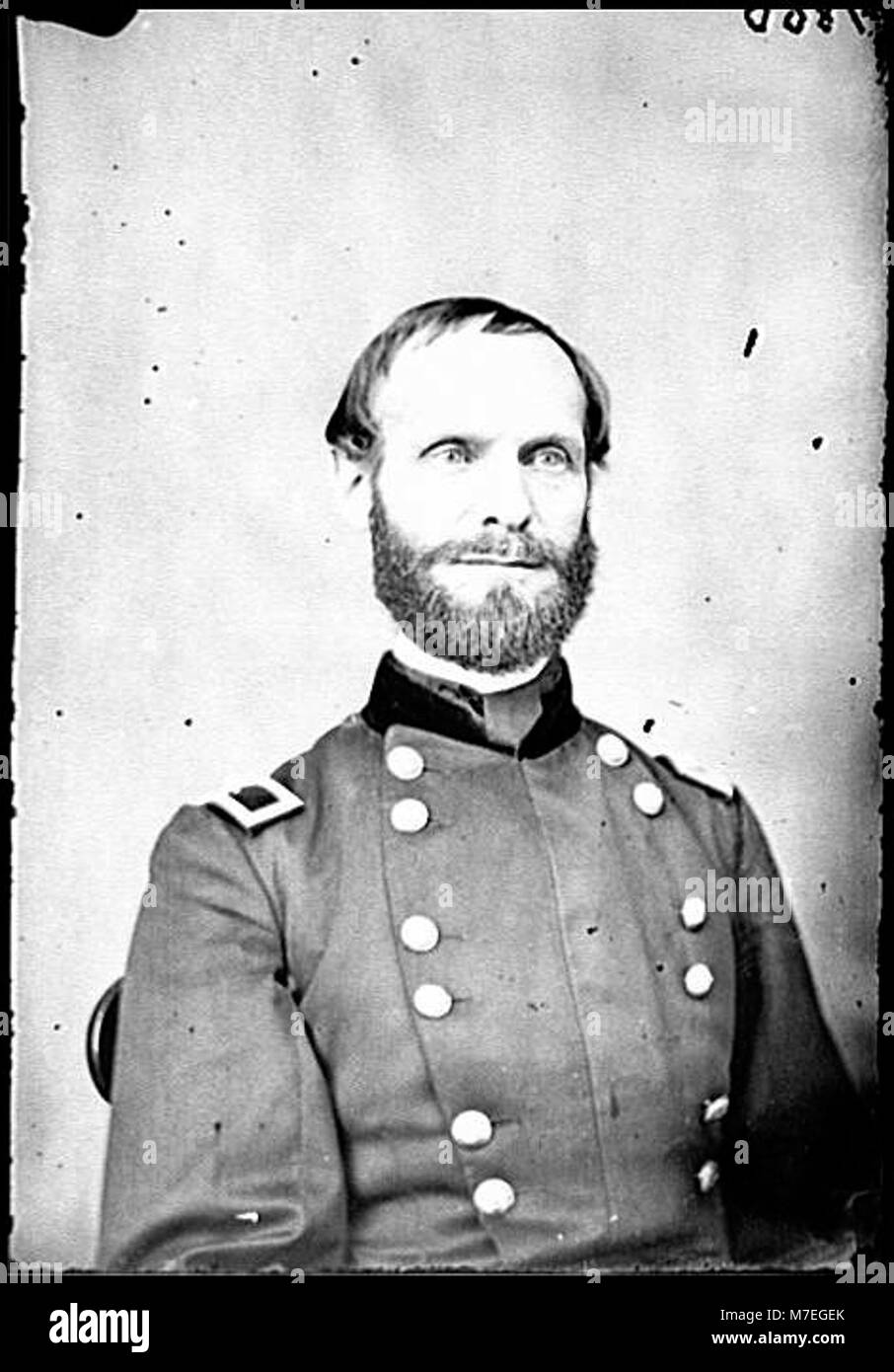 A formal portrait of Brigadier General Edward D. Townsend, the ...