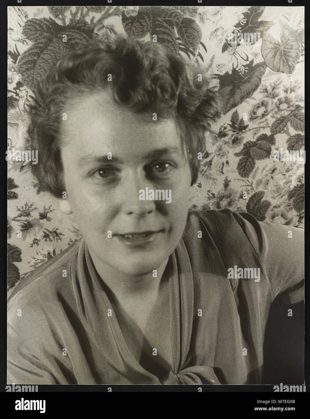 The portrait of Emily Vanderbilt, a notable figure in American society ...