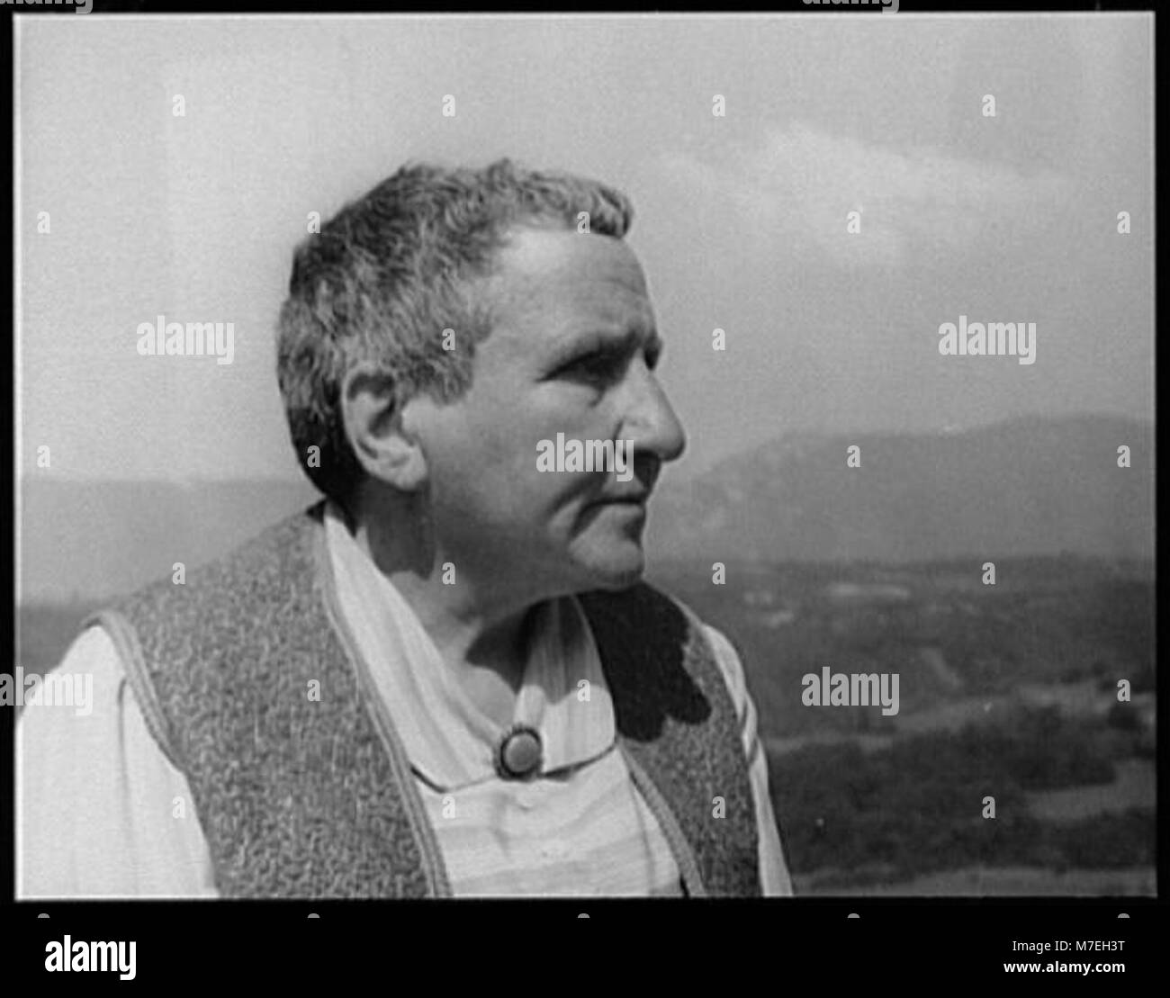Portrait of Gertrude Stein, the famous American writer, highlighting ...