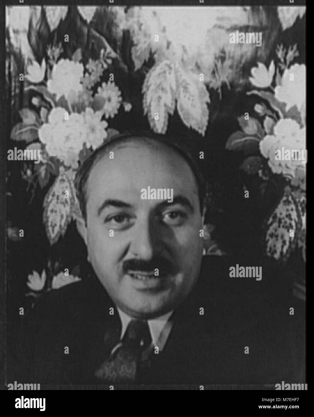 Langner hi-res stock photography and images - Alamy