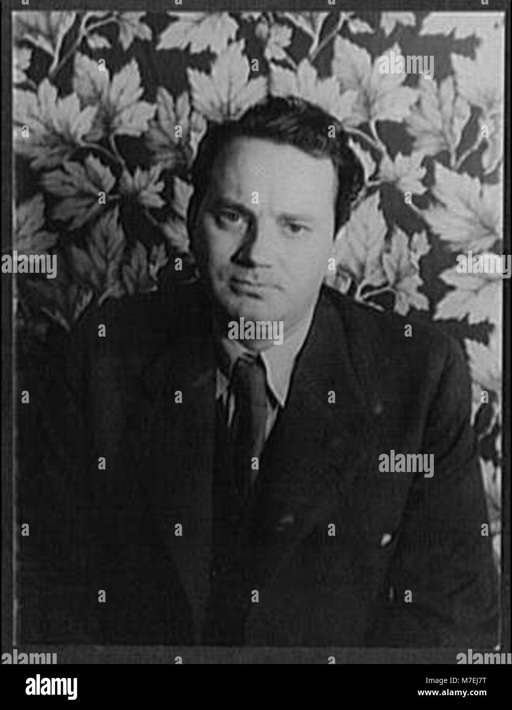 A portrait of Thomas Wolfe, the American novelist known for his rich ...