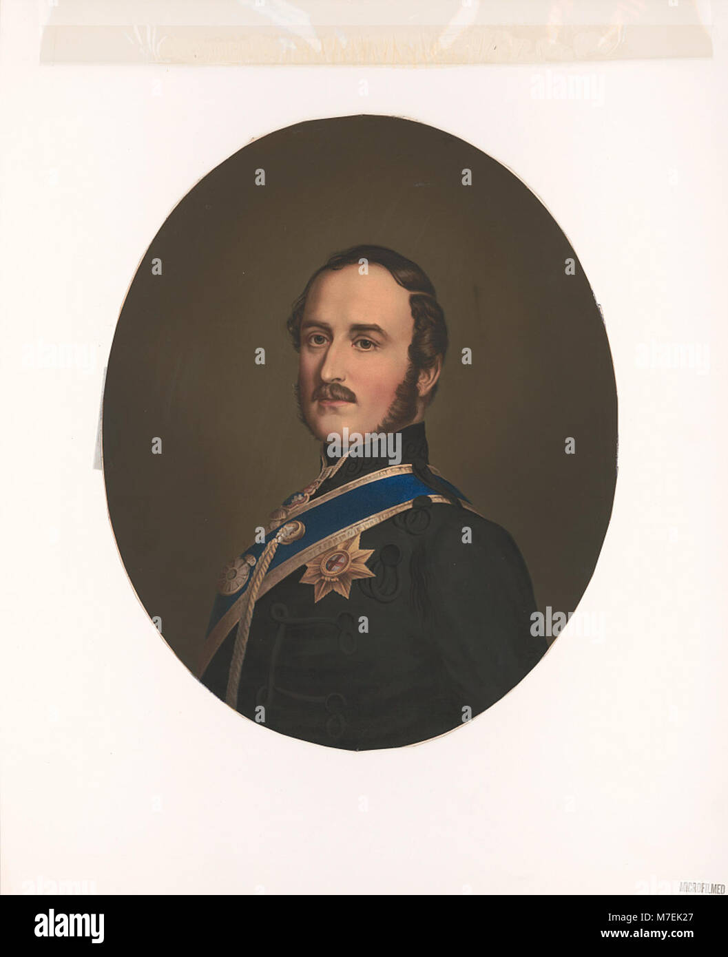 A formal portrait of Prince Albert, highlighting his regal appearance ...