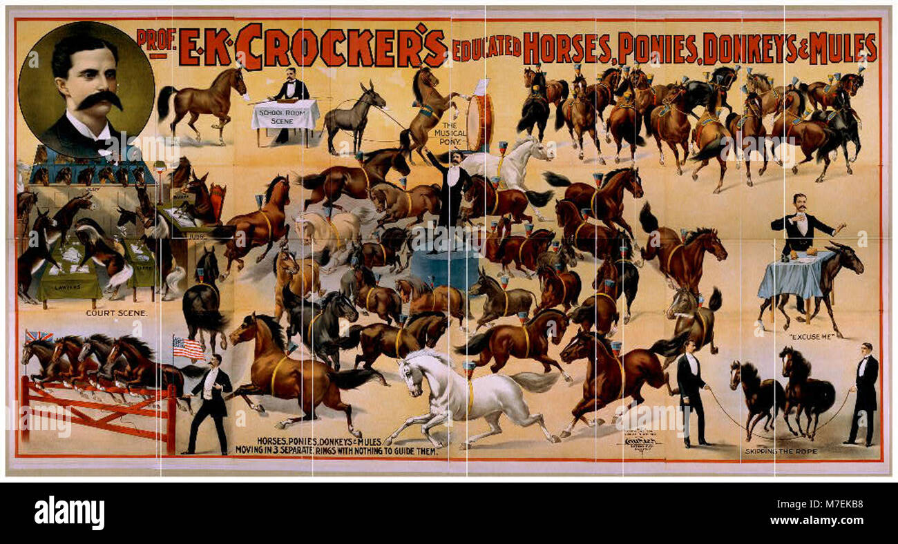 A historical image showcasing Professor E.K. Crocker's trained animals ...